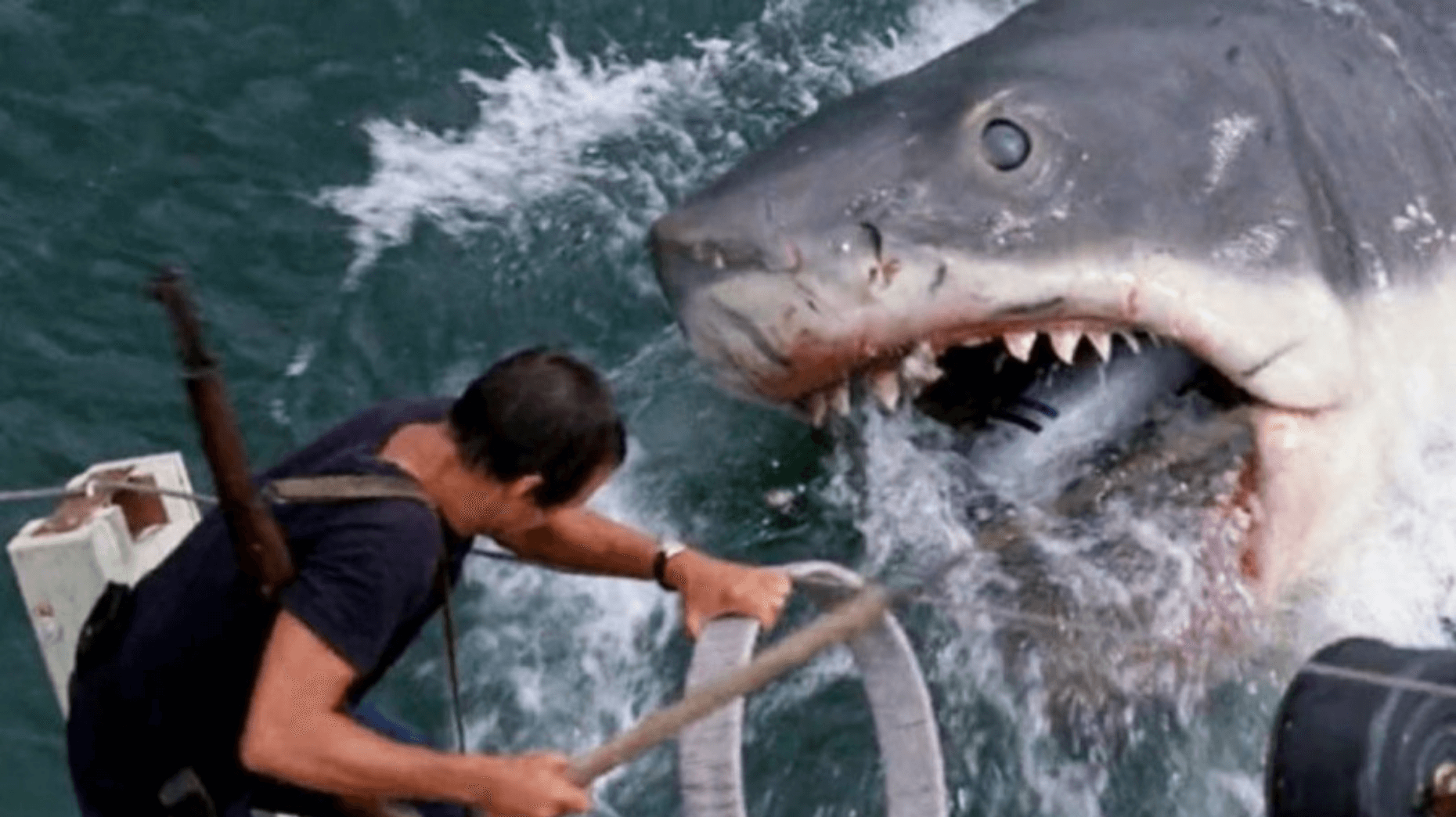 JAWS - American Cinematheque